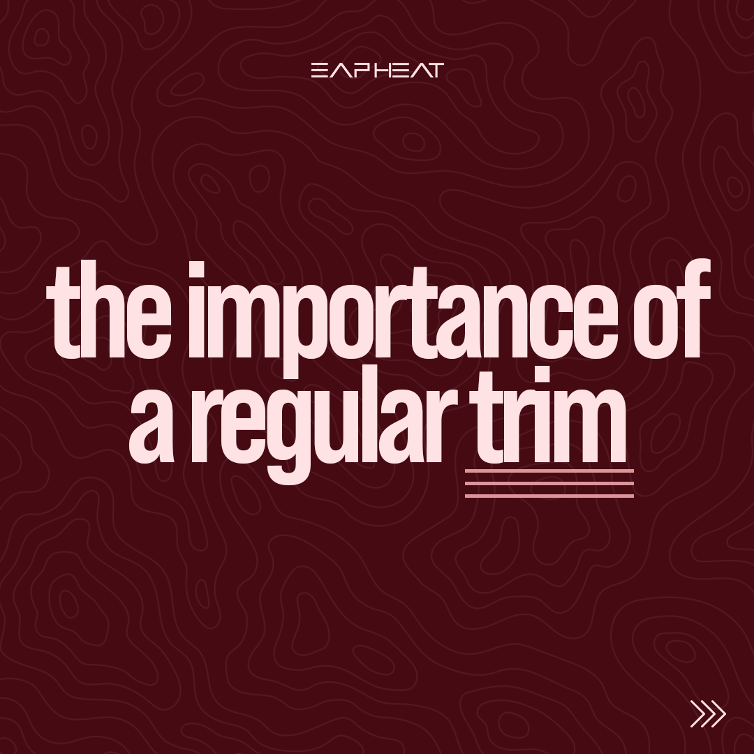 The Importance of a Regular Trim